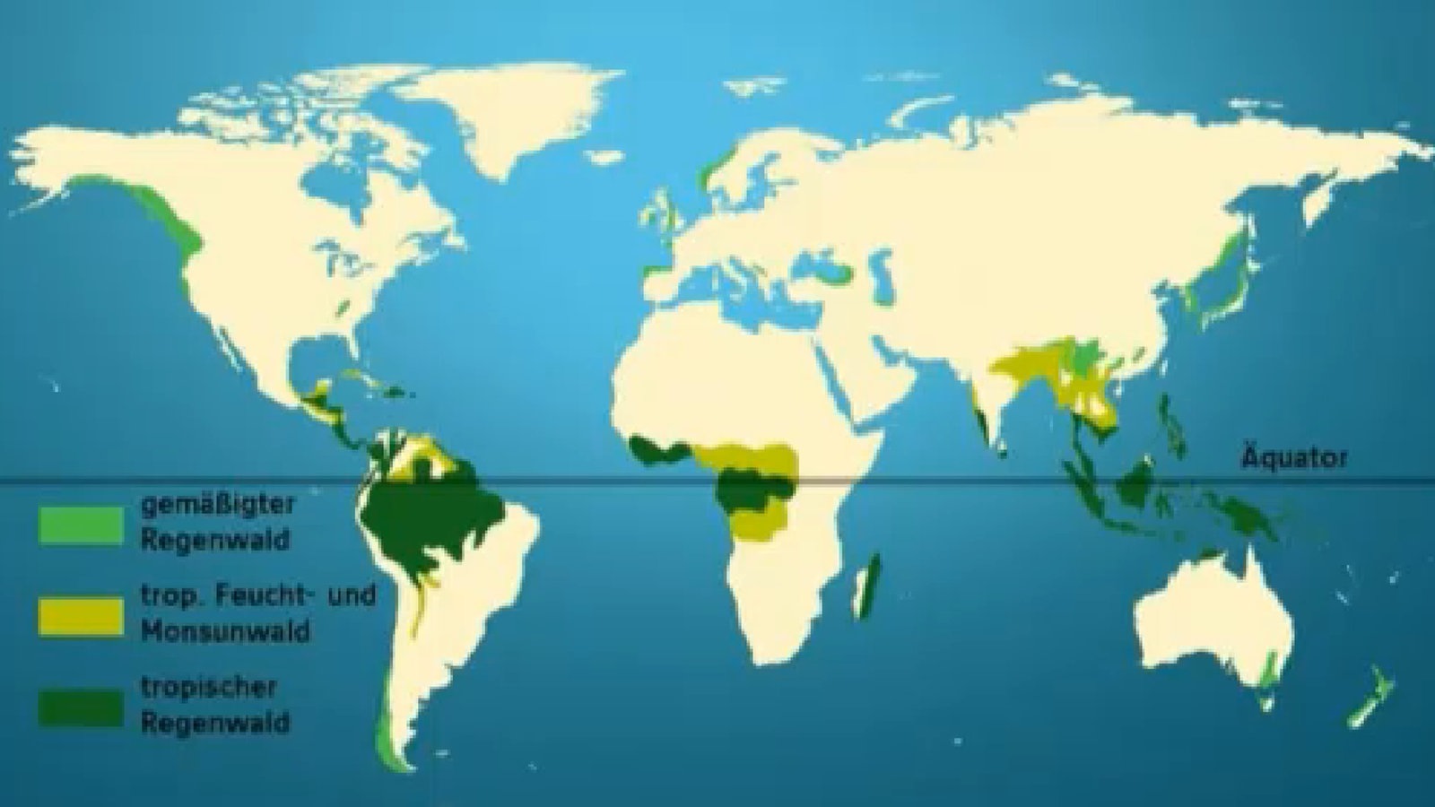 Video: Die Regenwälder der Erde - Planet Wissen Video: Die Regenwälder der Erde - Planet Wissen